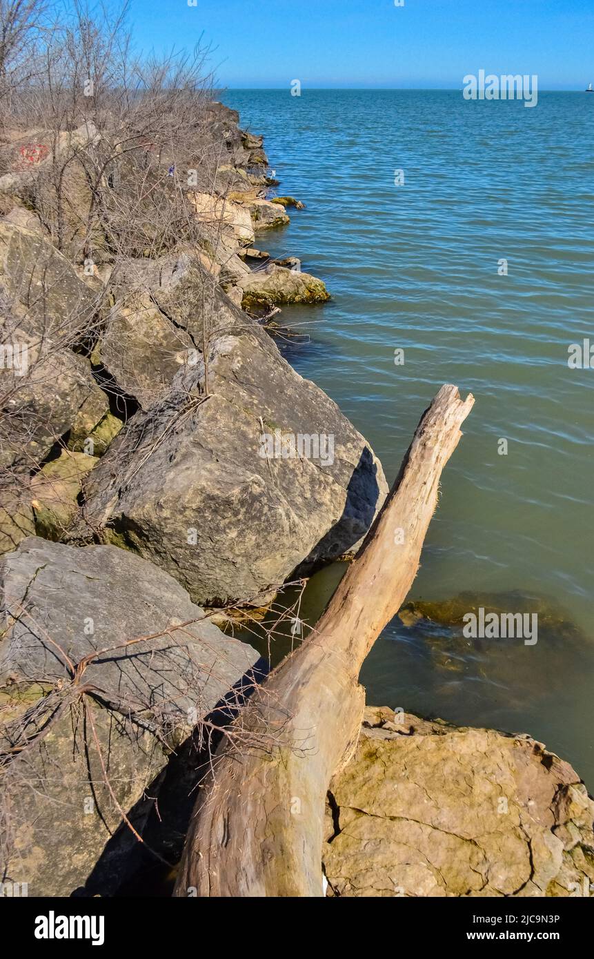 Coastal landscape. Dead Tree by Lake Erie, Ohio USA Stock Photo - Alamy