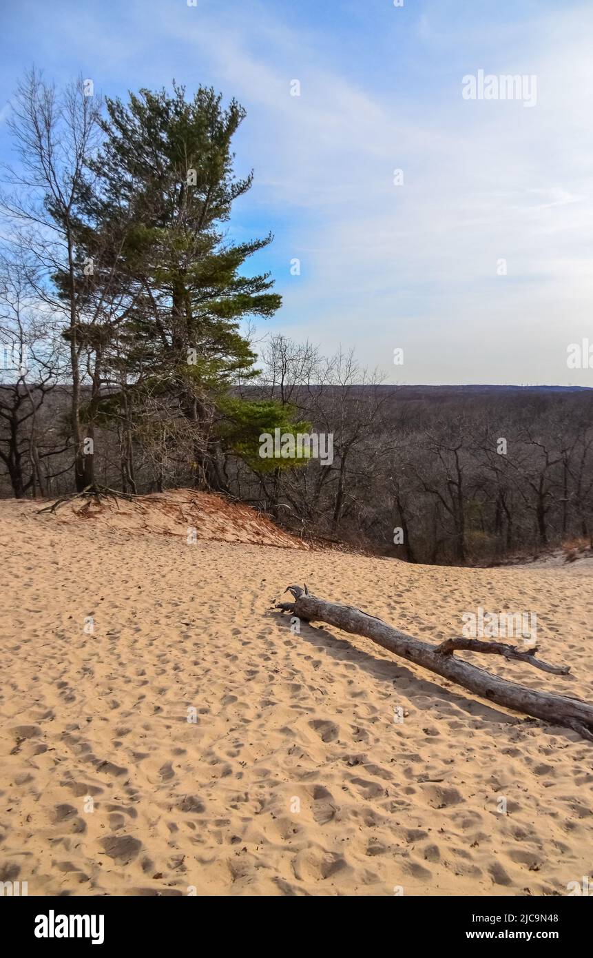 Sand dunes with traces of people on a sand path down. Indiana Dunes ...