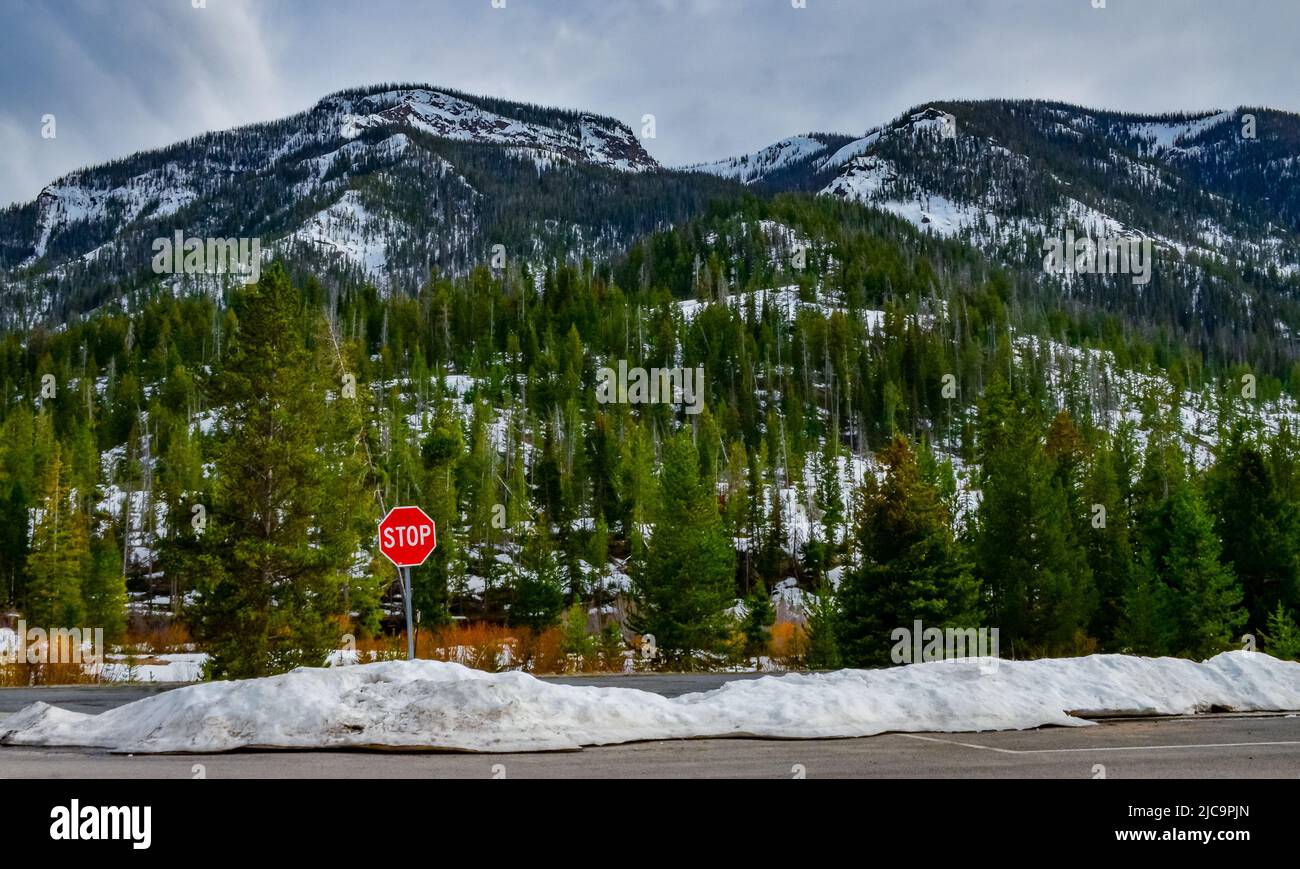Closed road after snowfall in Yellowstone National Park, USA Stock ...