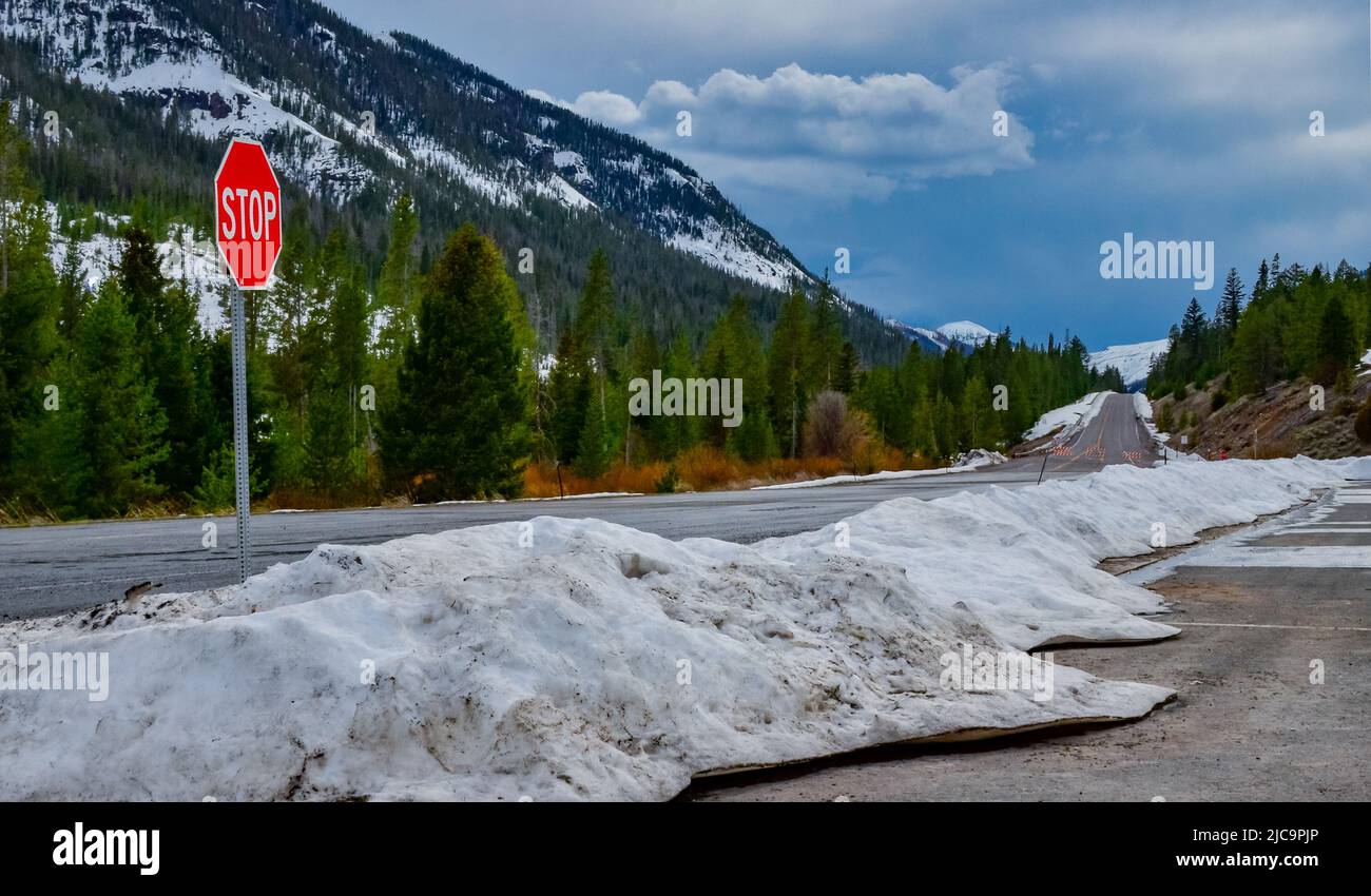 Closed road after snowfall in Yellowstone National Park, USA Stock ...