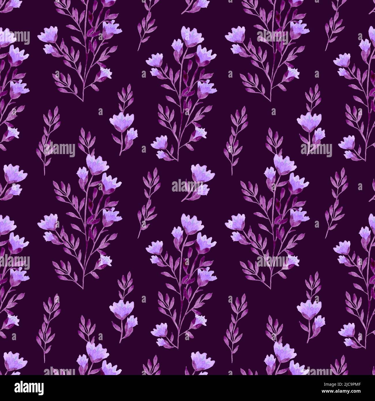 Watercolor floral seamless pattern. Monochrome lilac flowers on a dark ...