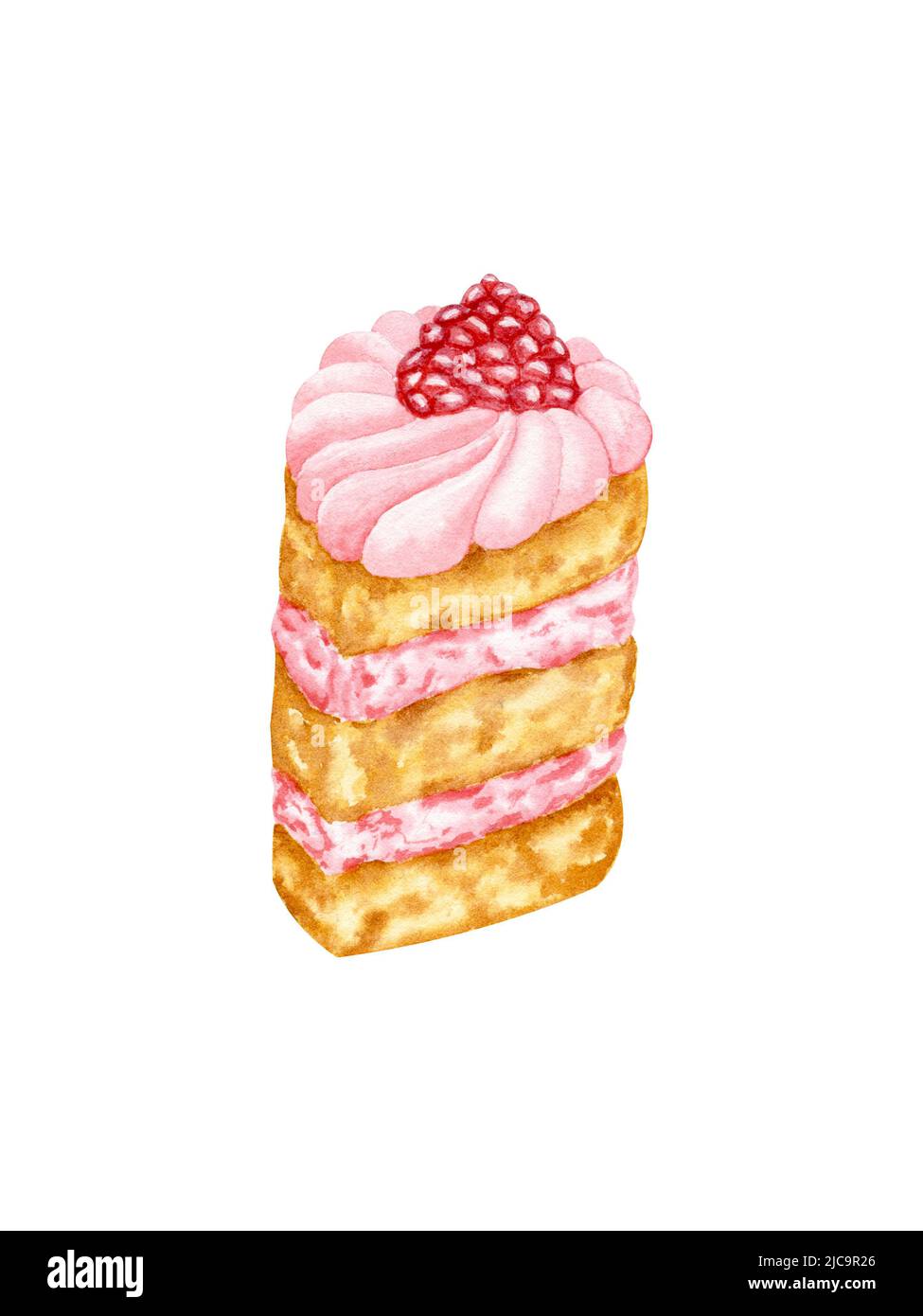 Watercolor brownie cake with berry cream and raspberries. Hand drawing ...