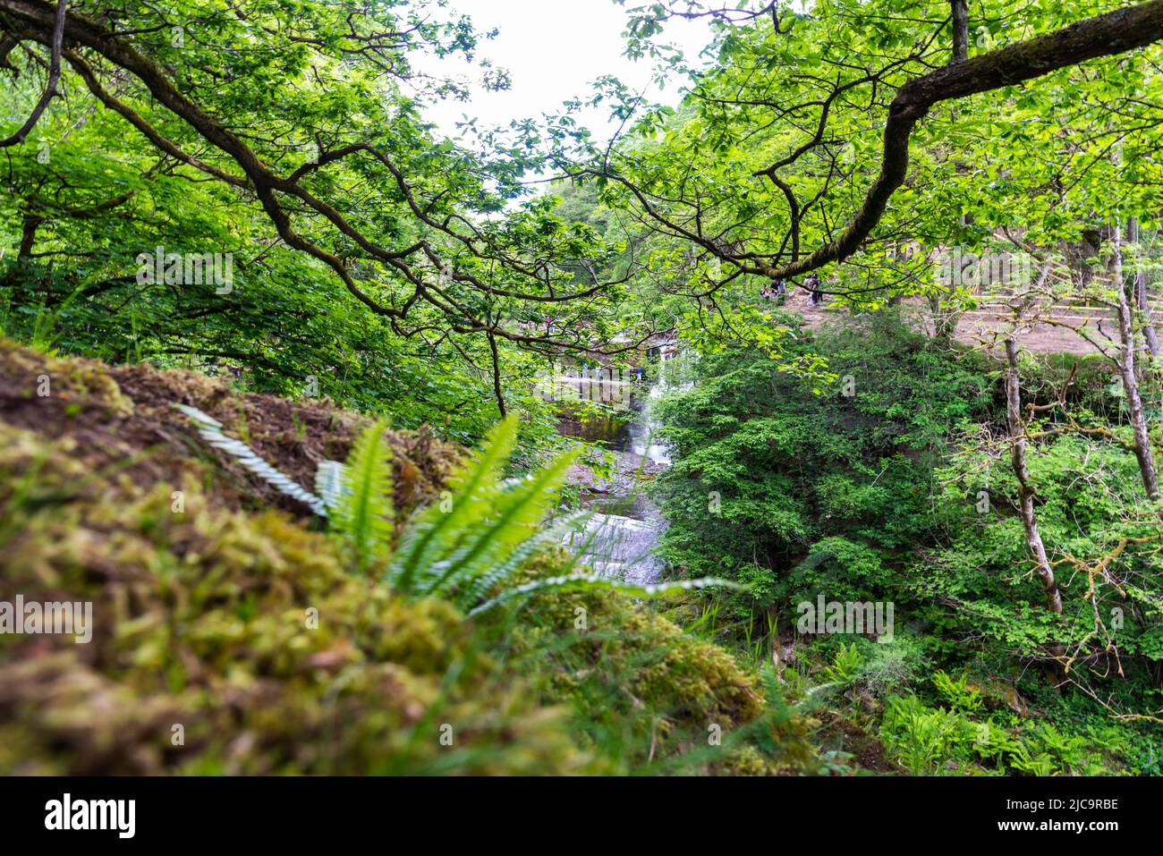Waterfalls in the National Park in England Brecon Beacons 2022 Stock ...