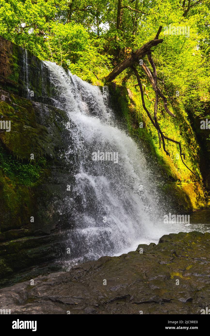 Waterfalls in the National Park in England Brecon Beacons 2022 Stock ...