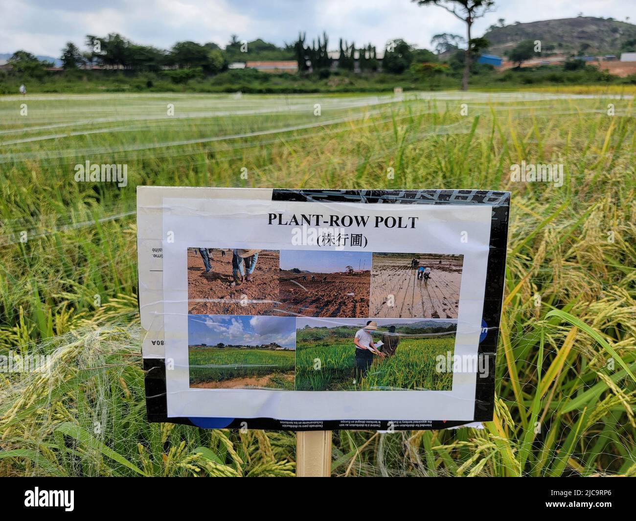 Greater production hi-res stock photography and images - Alamy