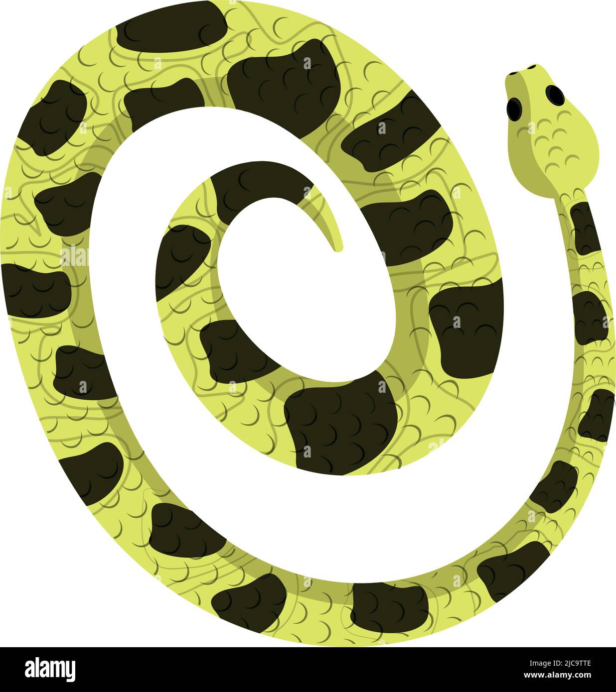 snake with spots Stock Vector Image & Art - Alamy