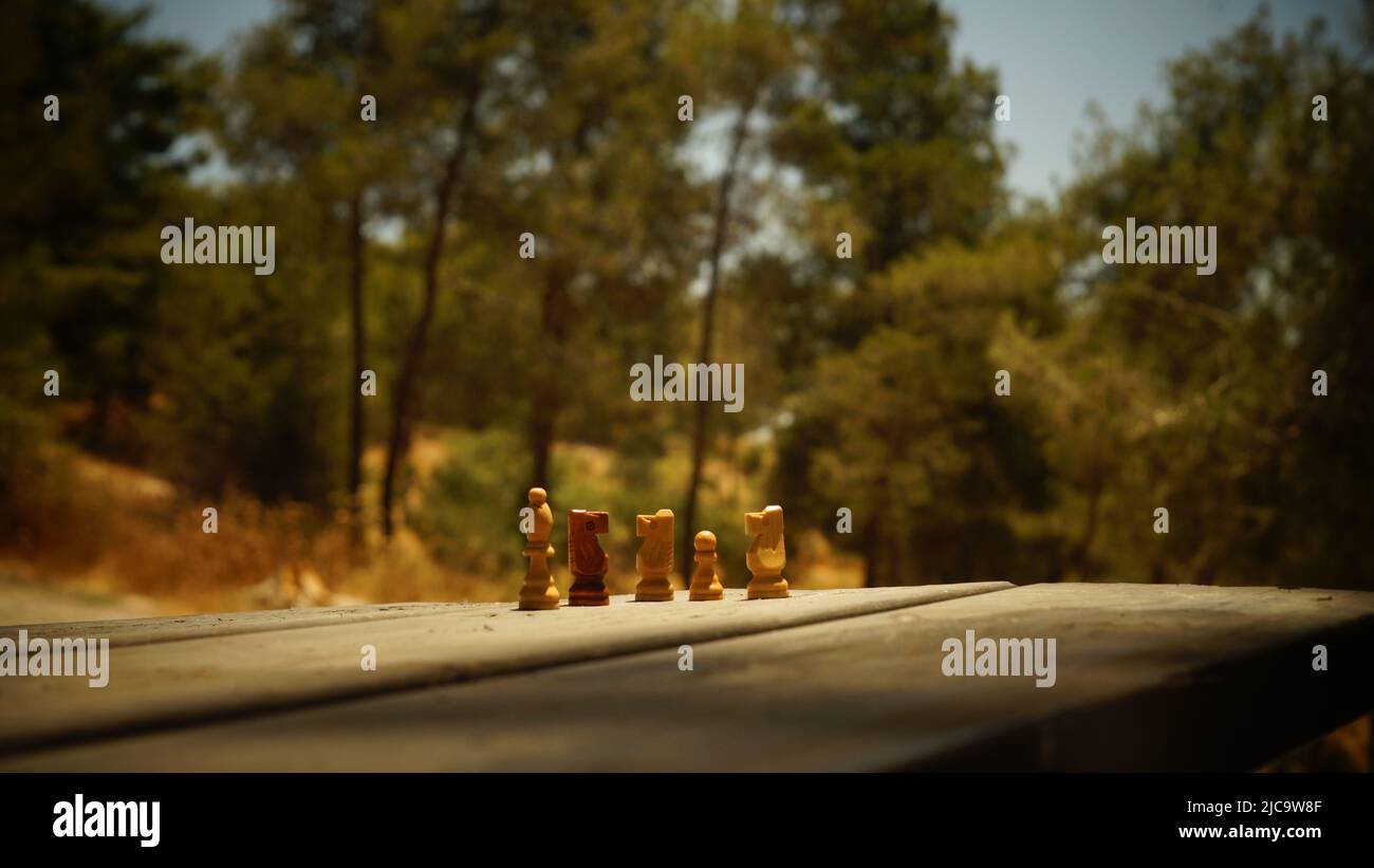 Chess, chess board and wooden chess pieces in nature at the campsite ...