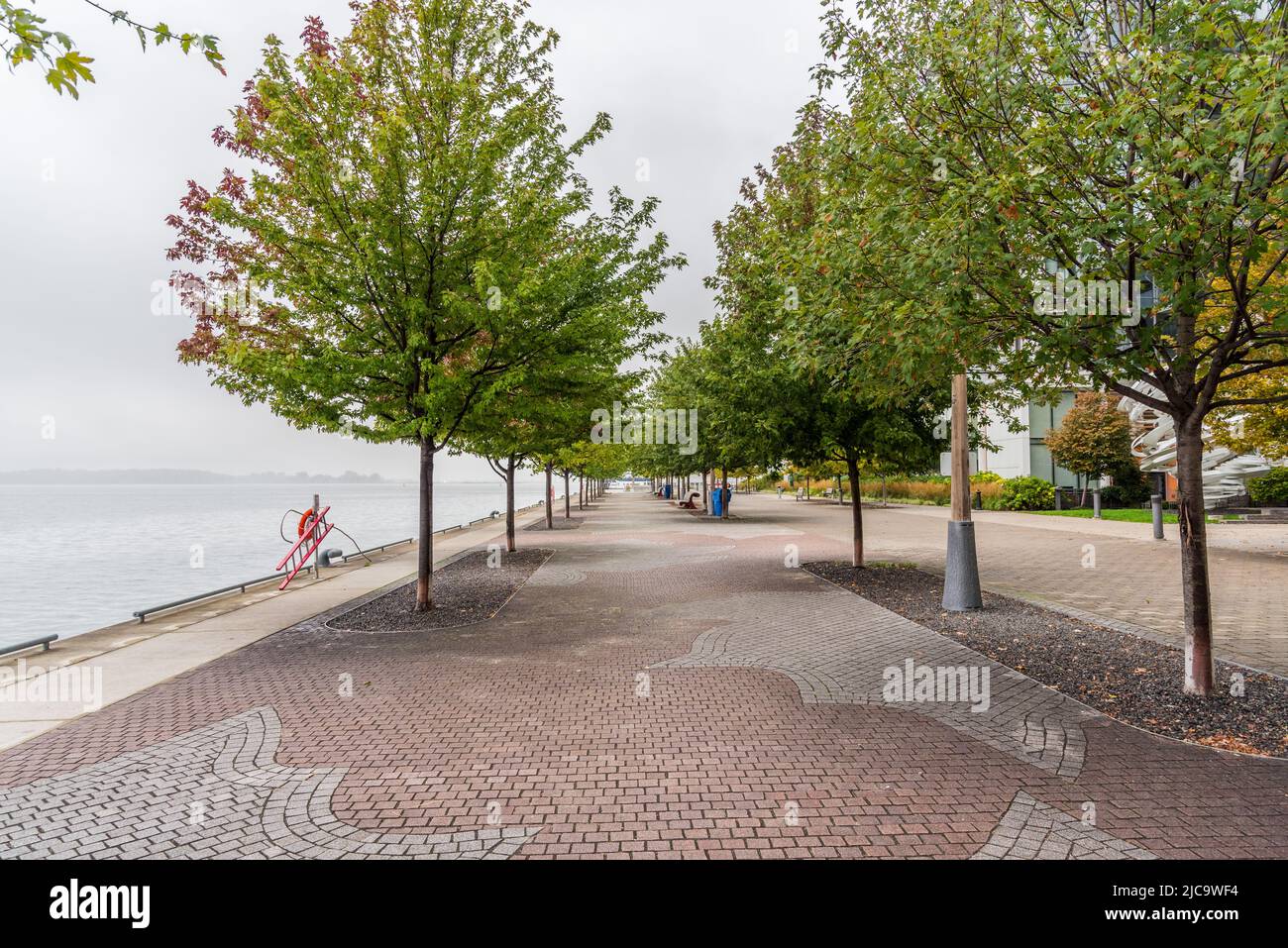 Waterfront tree hi-res stock photography and images - Alamy