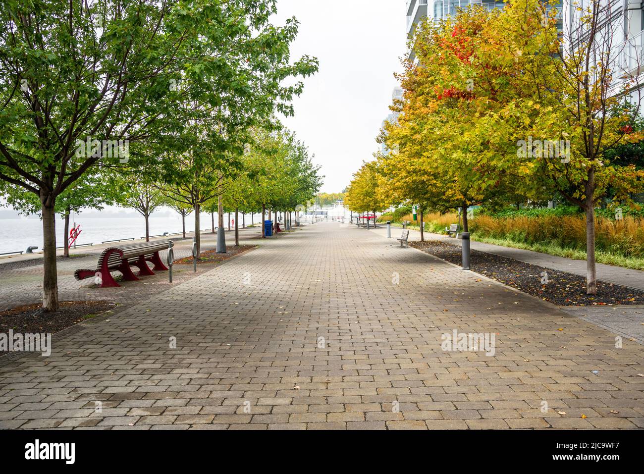 Lakeside cobbled path lined with trees on a cloudy autumn day. Autumn ...