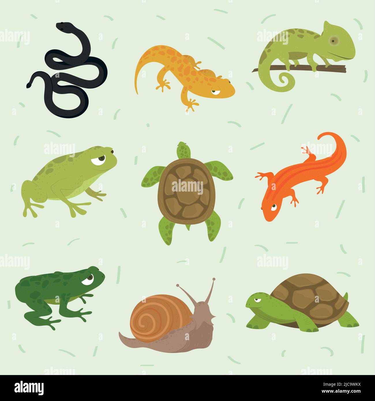 Snail and tortoise Stock Vector Images - Alamy