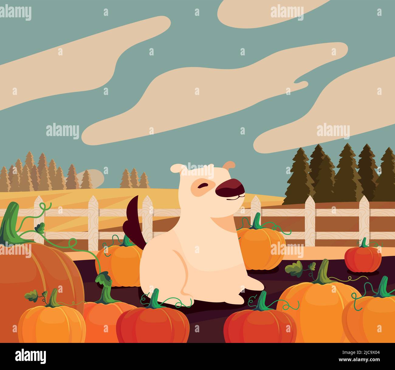 autumn pumpkins farm Stock Vector Image & Art - Alamy