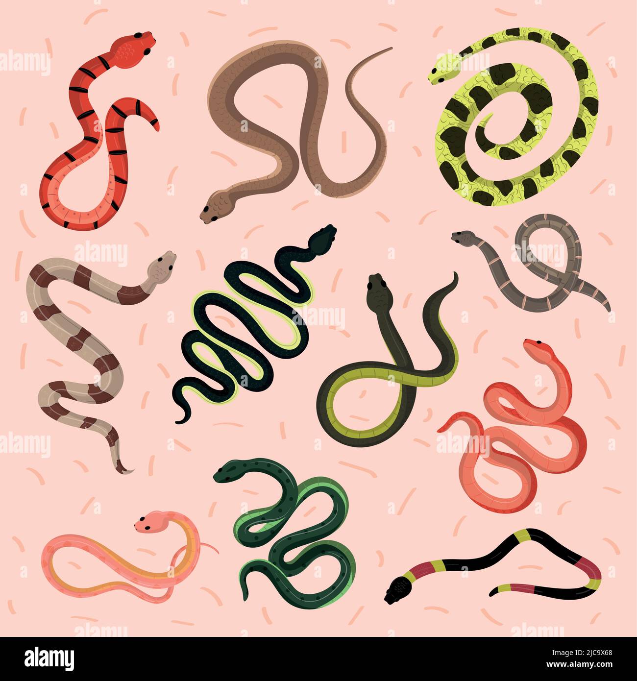 icons set of snakes Stock Vector Image & Art - Alamy