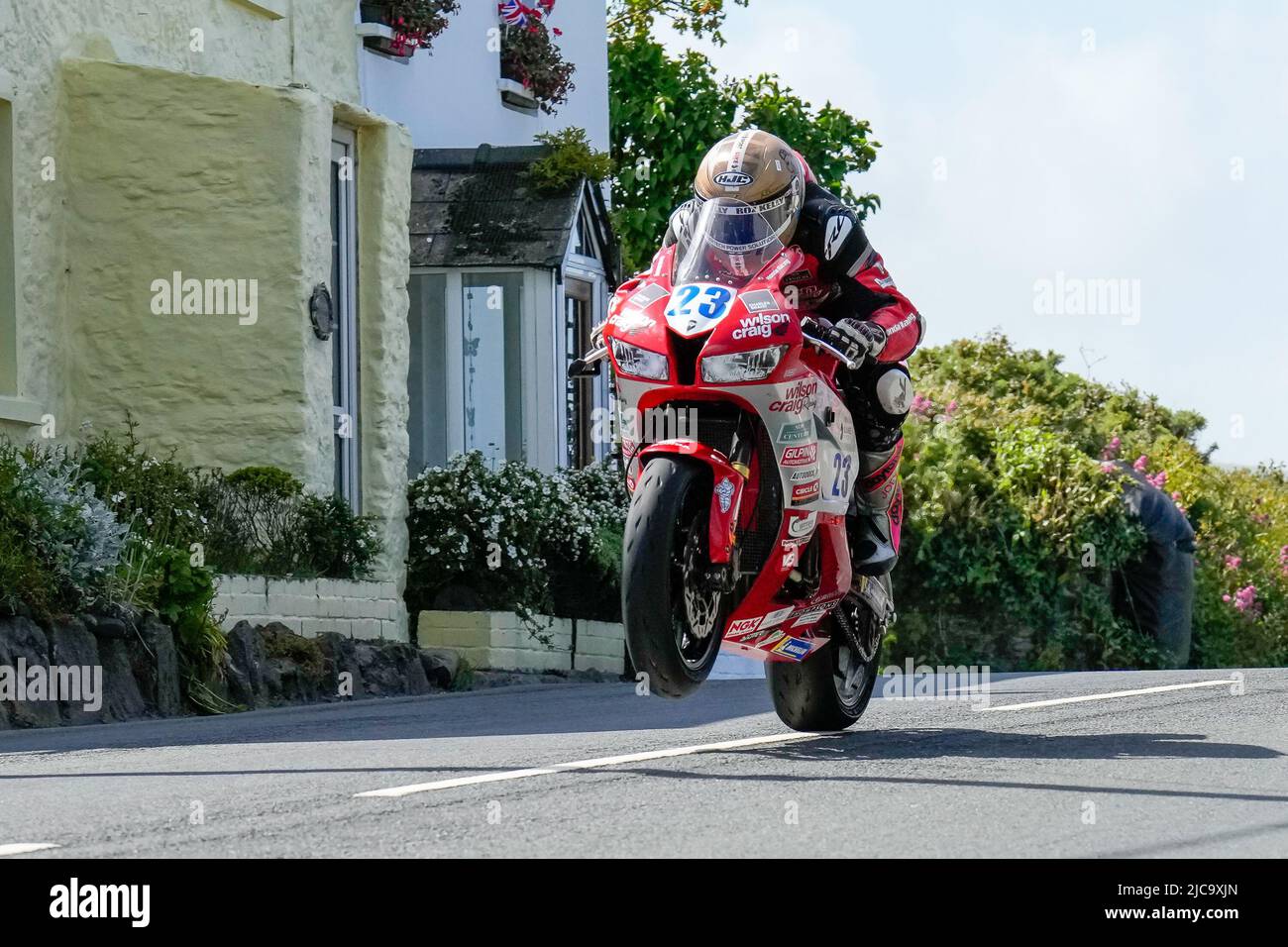 2022 joey hi-res stock photography and images - Alamy