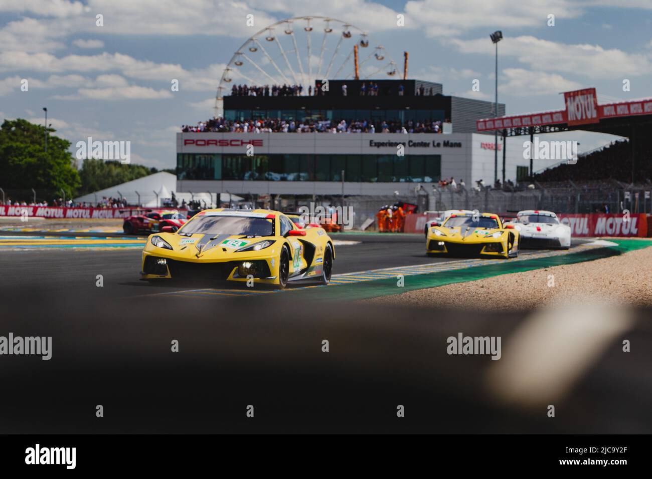 64 MILNER Tommy (usa), TANDY Nick (gbr), SIMS Alexander (ger), Corvette ...