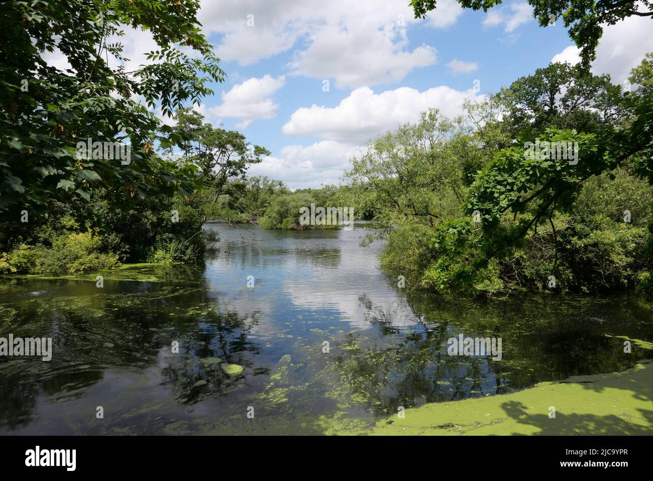 Situated between the River Colne and Frays River, Little Britain Lake ...