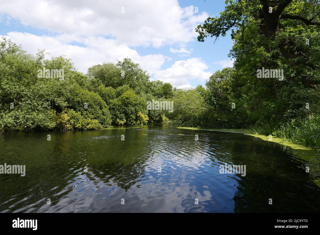 Situated between the River Colne and Frays River, Little Britain Lake ...