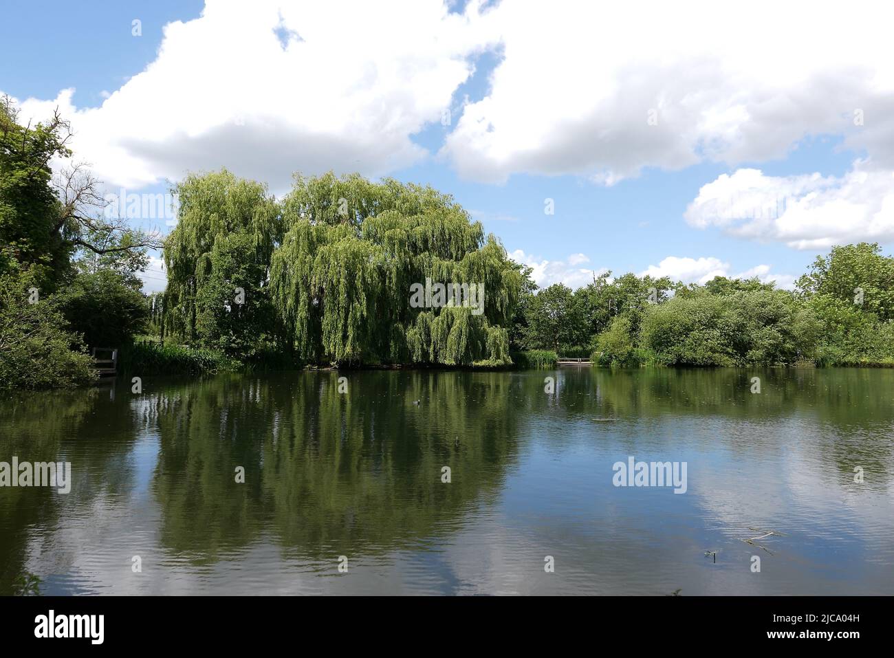 Situated between the River Colne and Frays River, Little Britain Lake ...