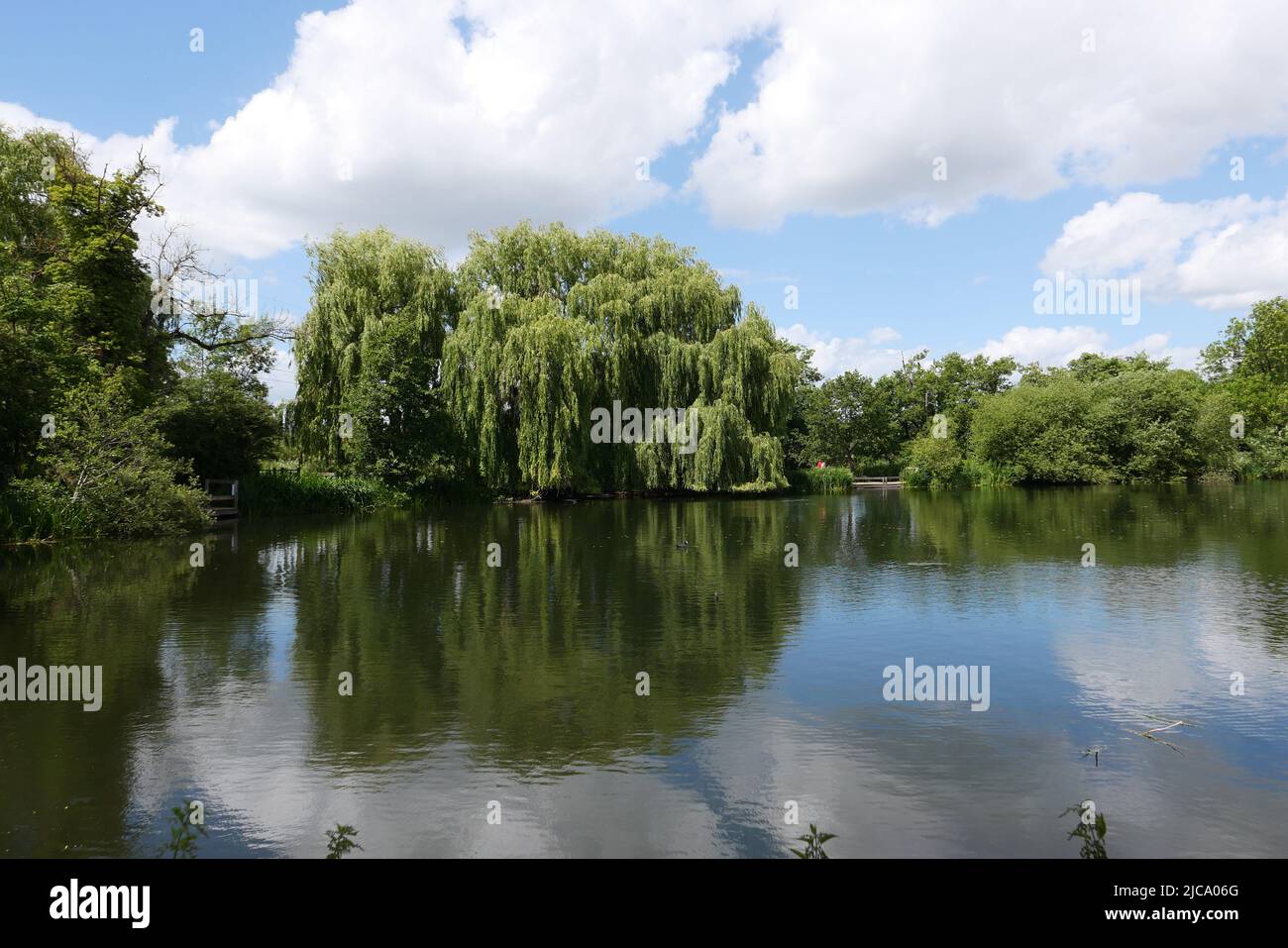 Situated between the River Colne and Frays River, Little Britain Lake ...