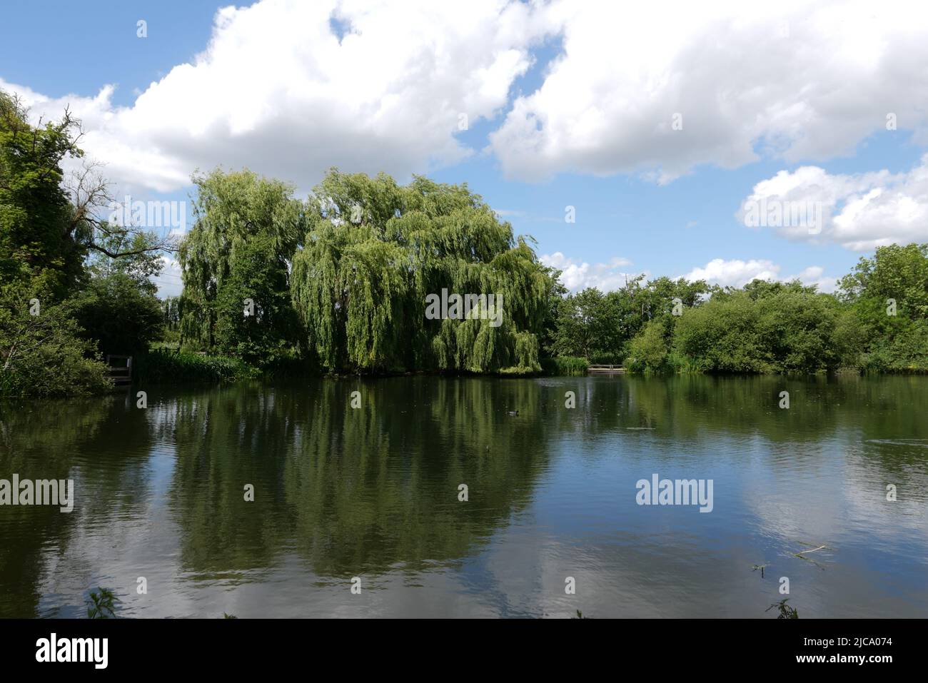Situated between the River Colne and Frays River, Little Britain Lake ...