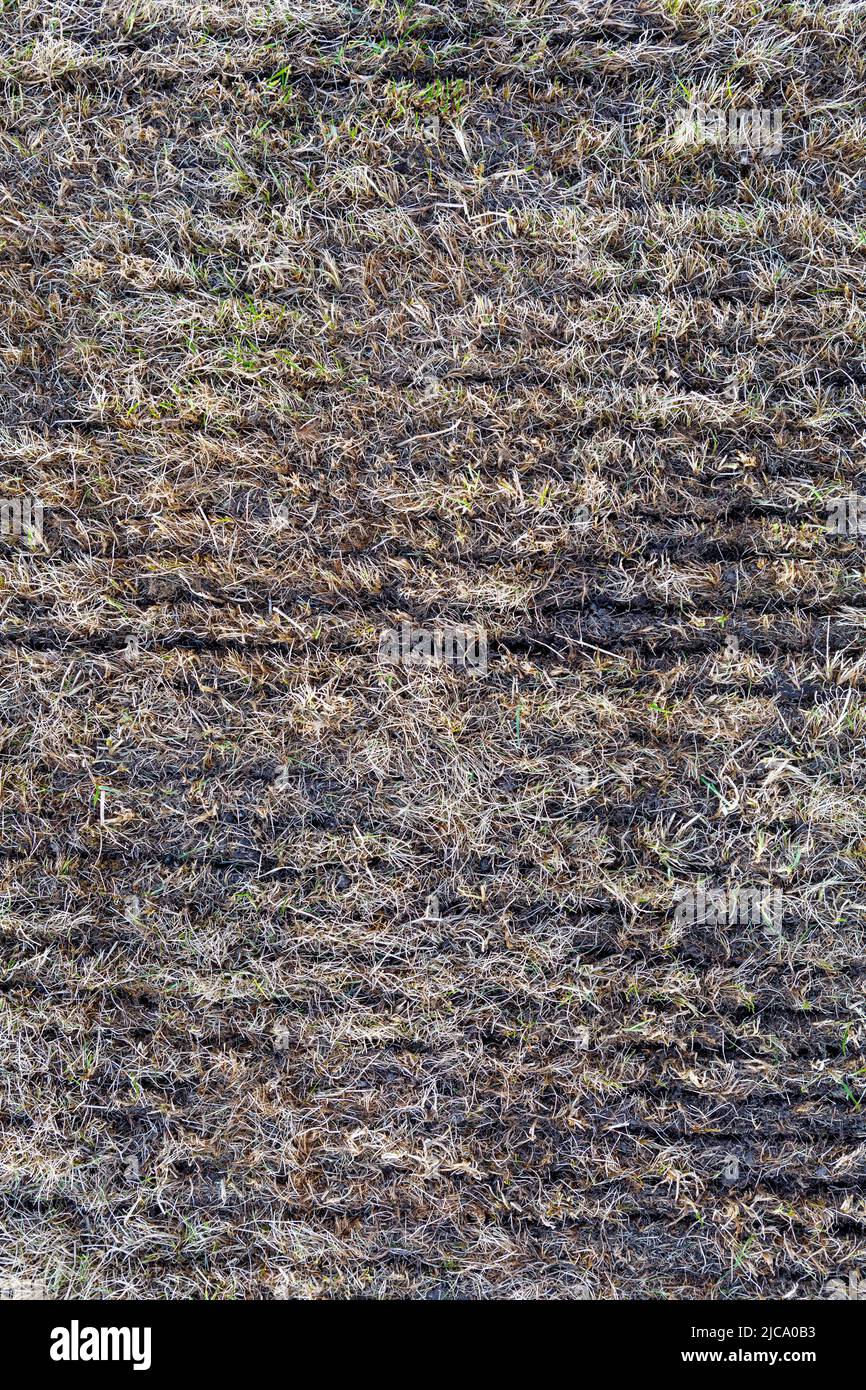 Garden grass footprints hi-res stock photography and images - Alamy