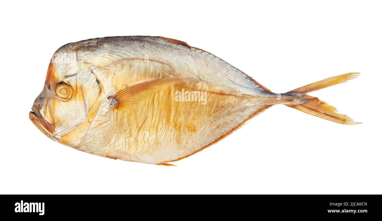 vomer fish path isolated on white Stock Photo - Alamy