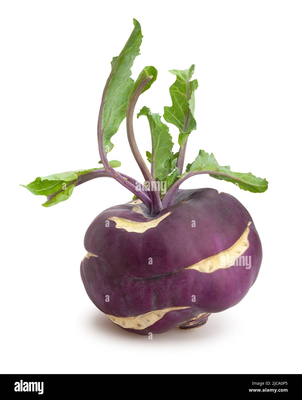 purple kohlrabi path isolated on white Stock Photo - Alamy