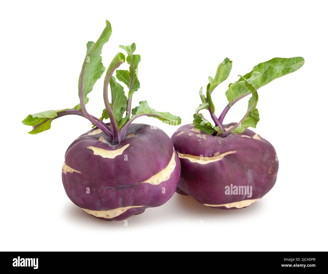 purple kohlrabi path isolated on white Stock Photo - Alamy