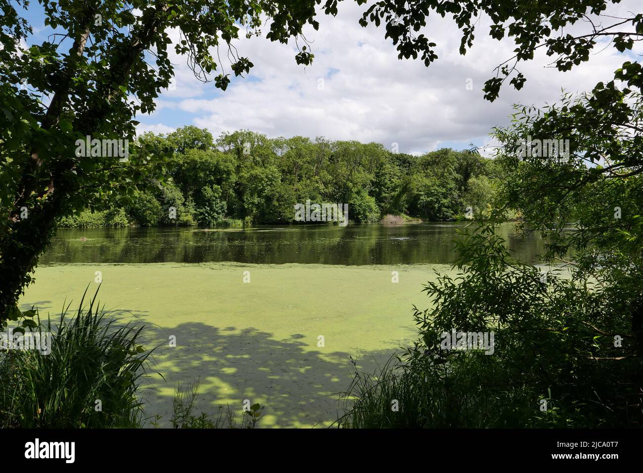 Situated between the River Colne and Frays River, Little Britain Lake ...