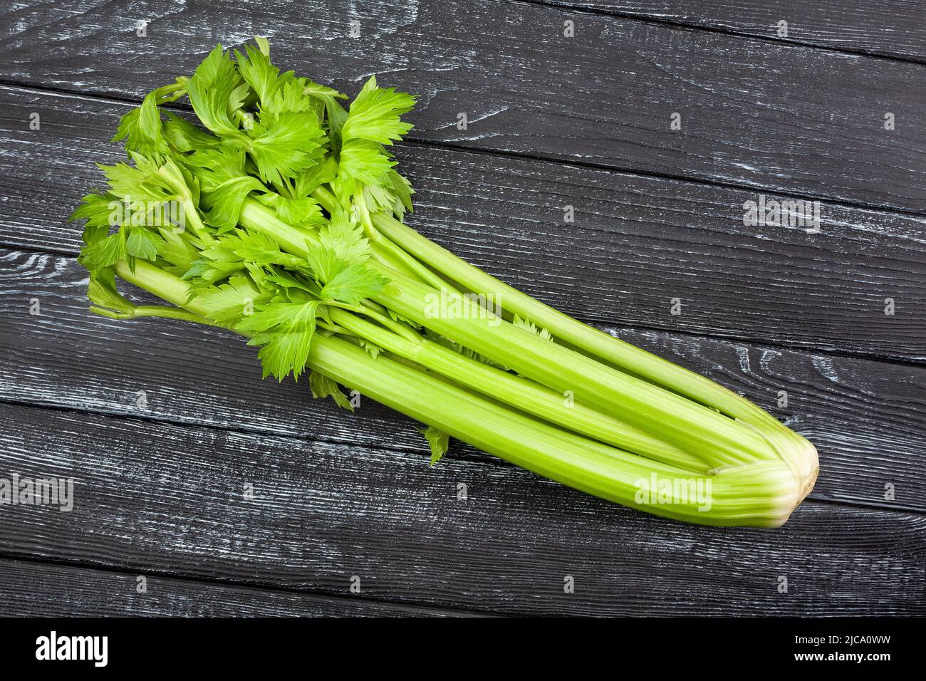 Single celery stalk hi-res stock photography and images - Alamy