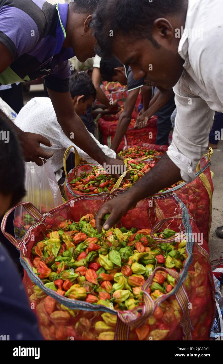 Guwahati, India. 11th June, 2022. People buy Ghost Chilis, one of the ...