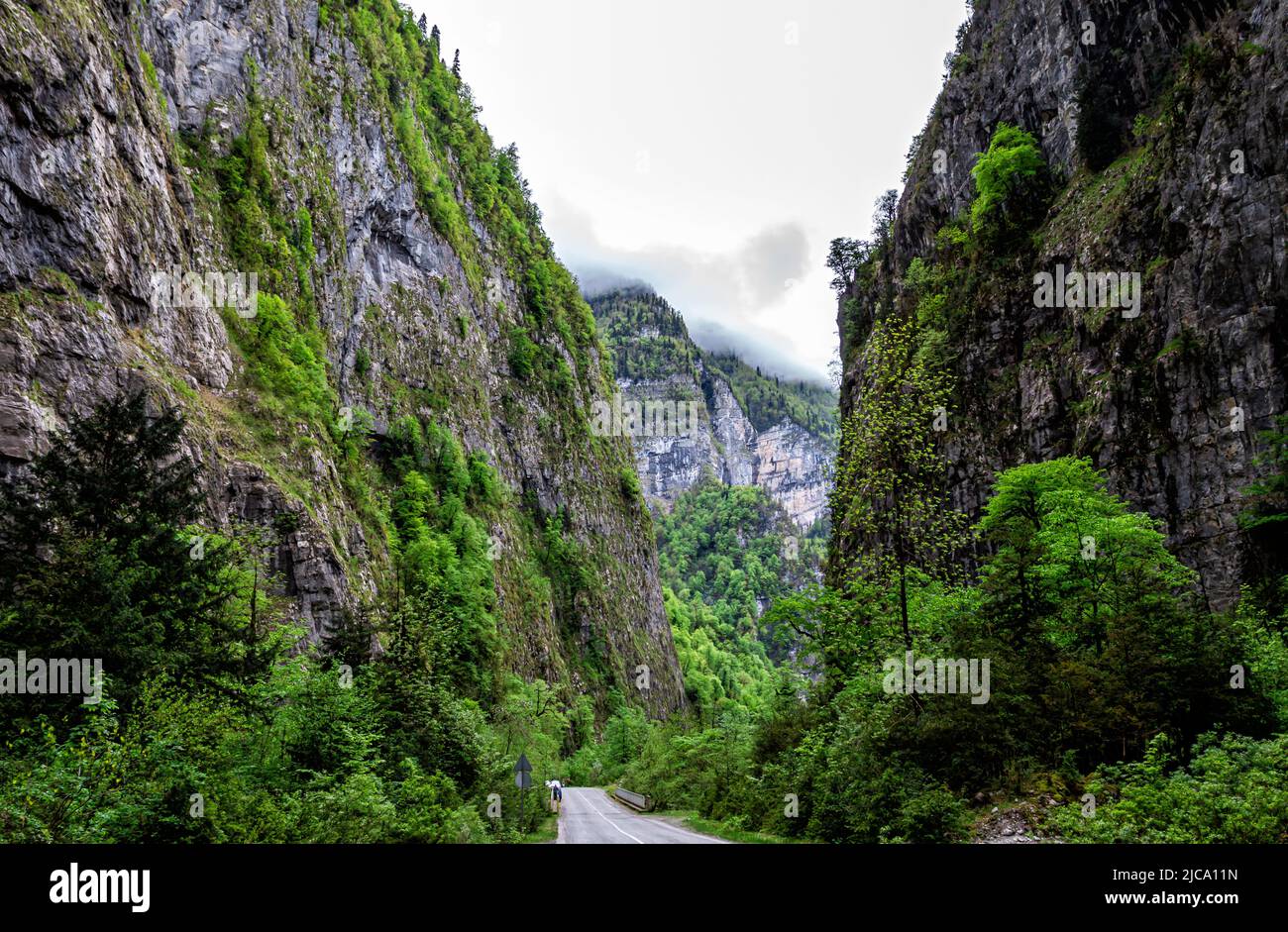 Road through the mountain gorge with forest covered with low overcast ...