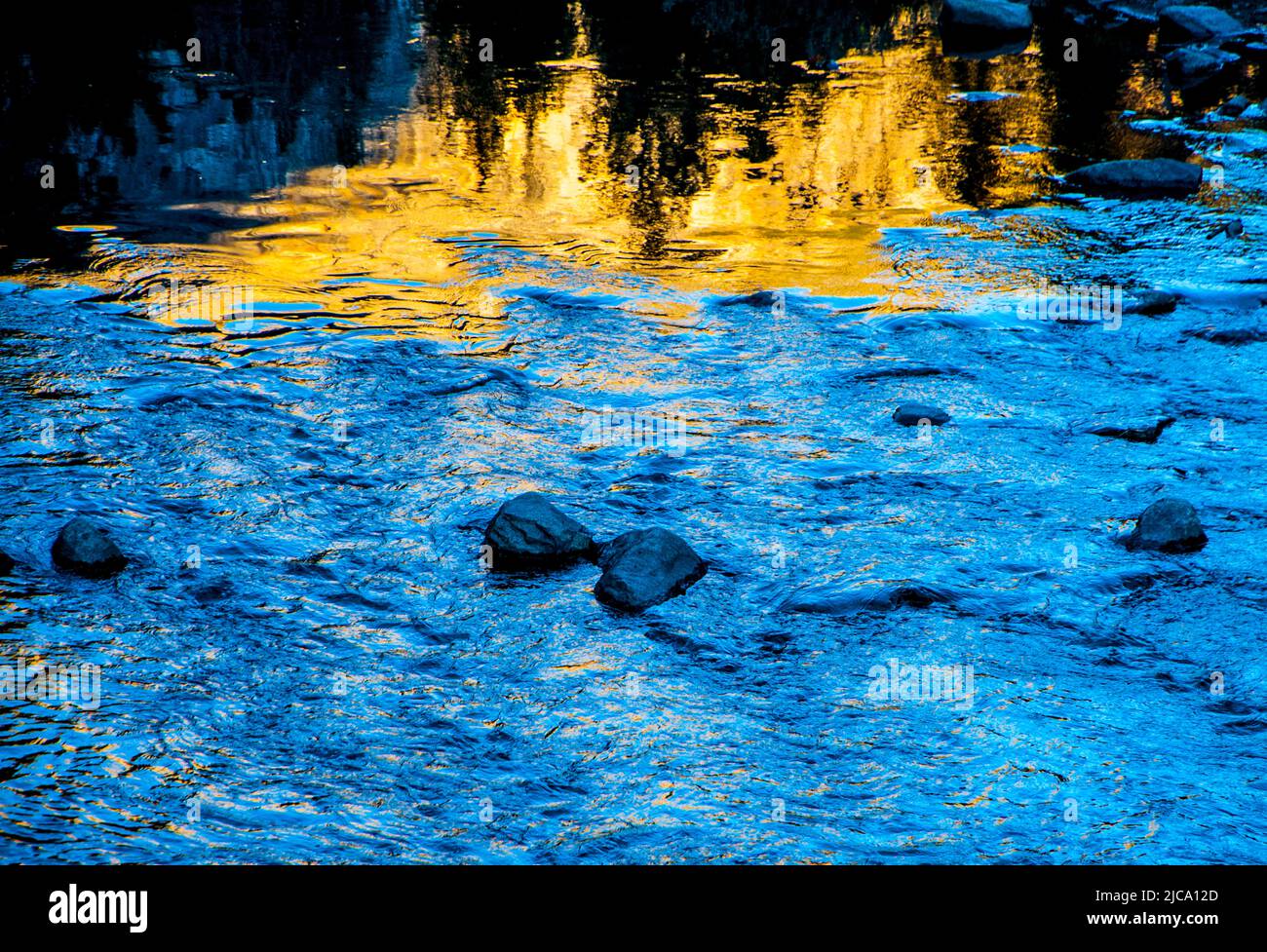 Nature conservation ecology hi-res stock photography and images - Alamy