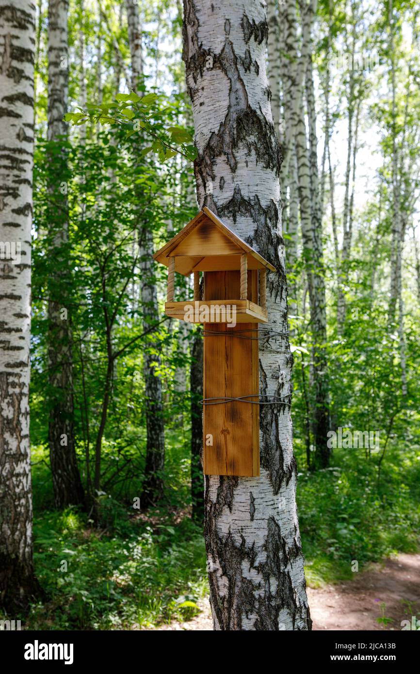wooden birdhouse on a tree in the forest and park Stock Photo - Alamy