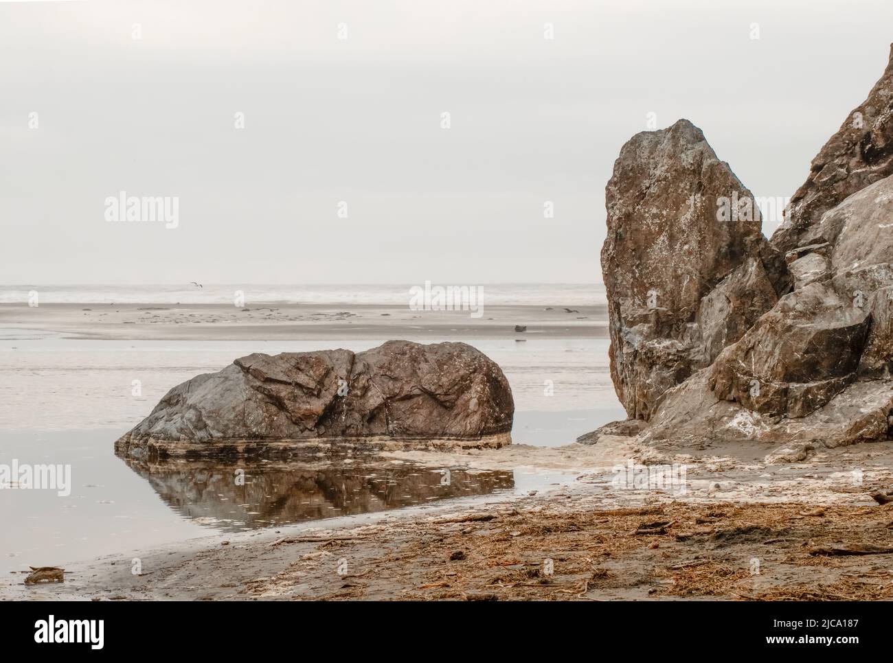 Close-up of giant rock lying in water near the beach with jagged rocks ...