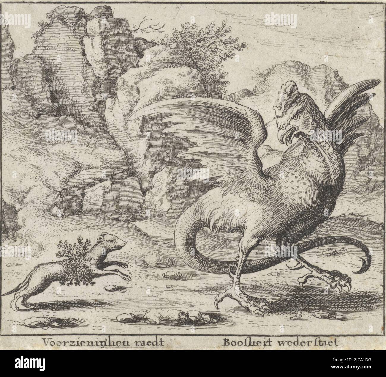 Weasel fables hi-res stock photography and images - Alamy