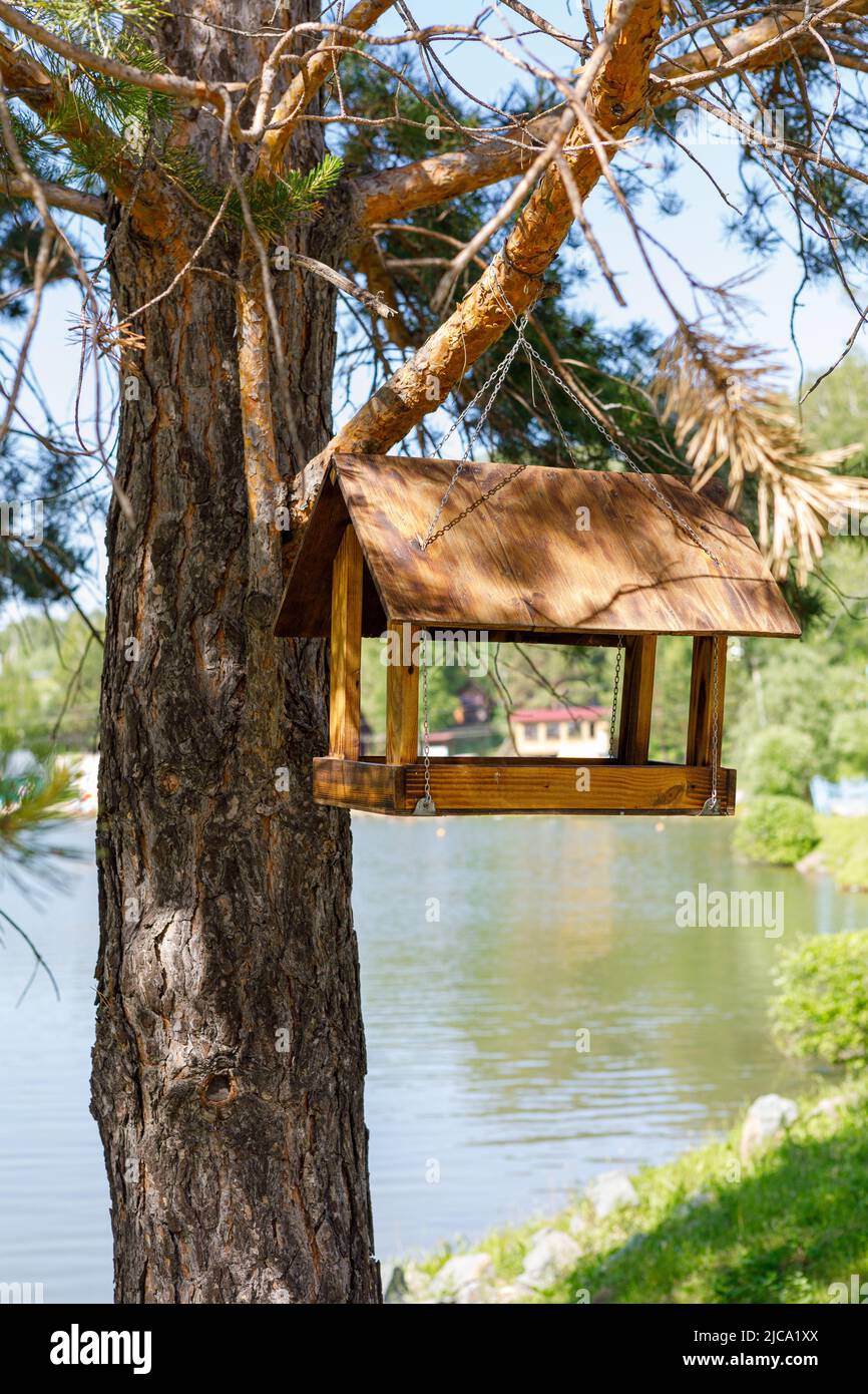 wooden birdhouse on a tree in the forest and park Stock Photo - Alamy