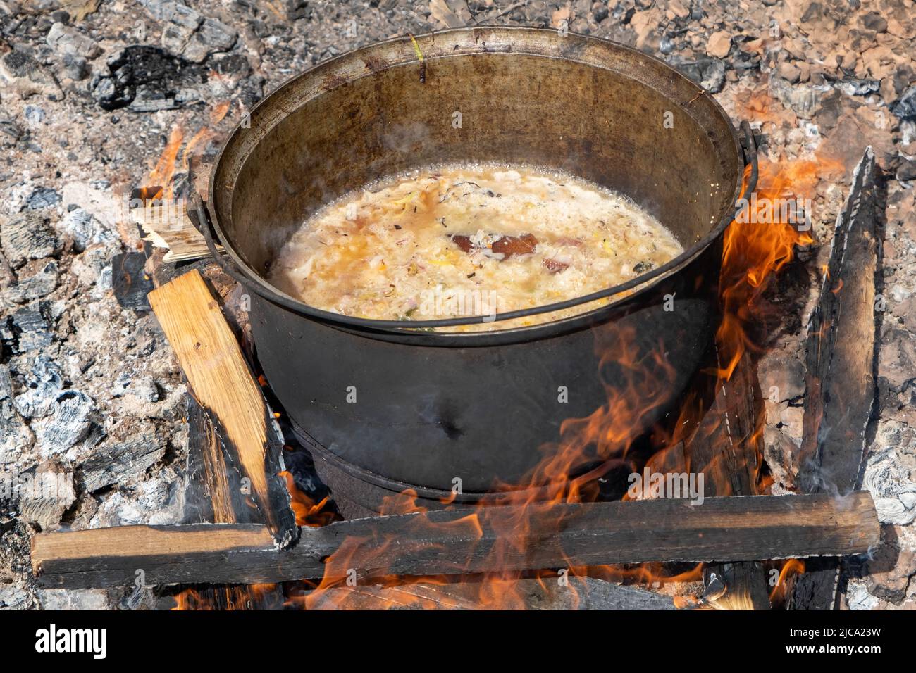 Close up of stewed beef meat in cooking pot with herbs, spices and ...