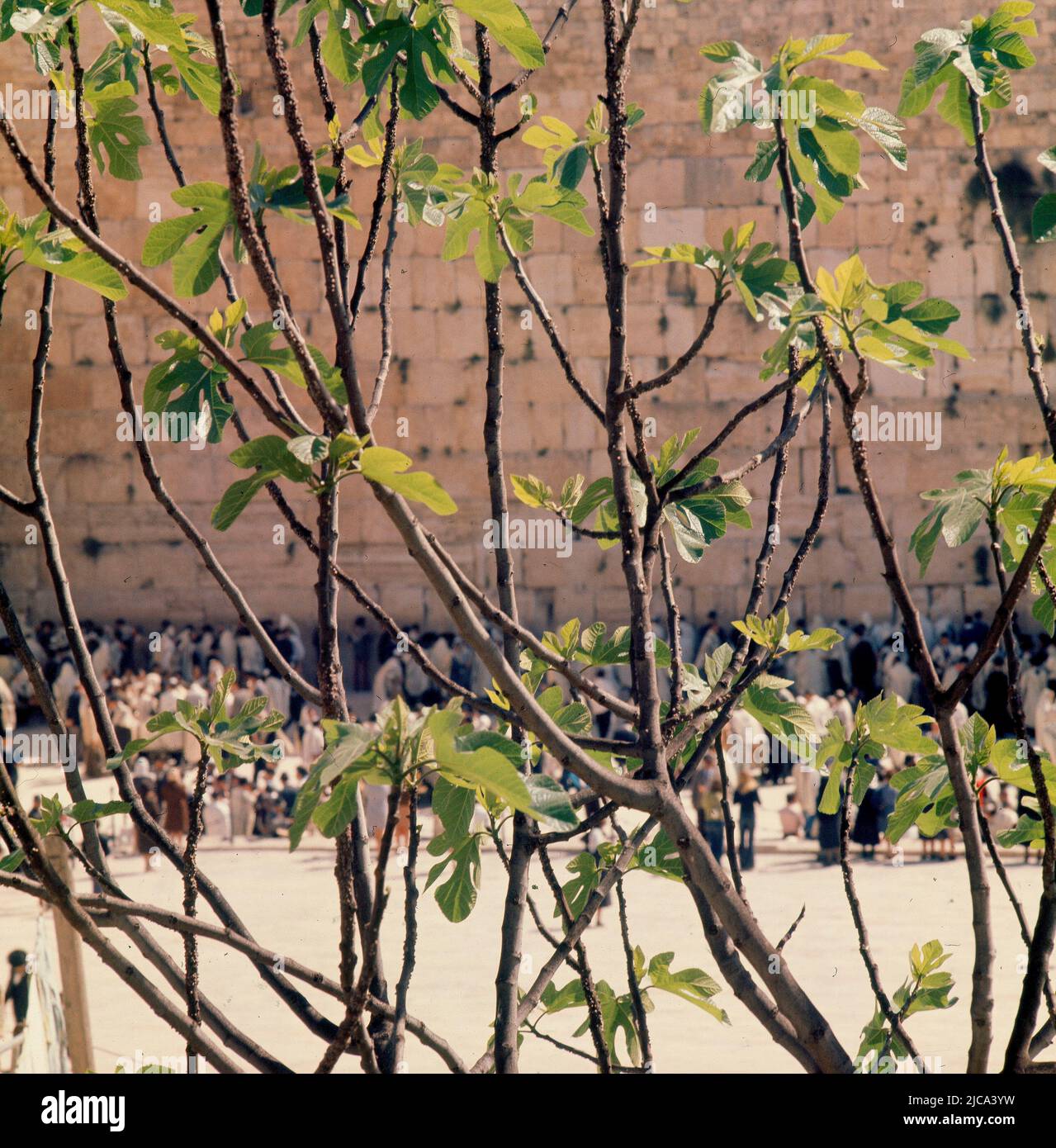 Muro de israel hi-res stock photography and images - Alamy