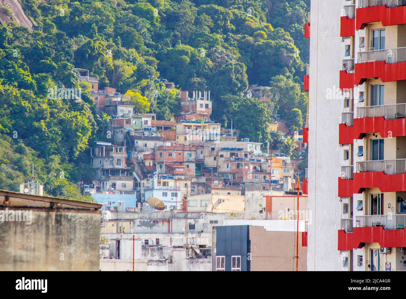 Tabajara hi-res stock photography and images - Alamy