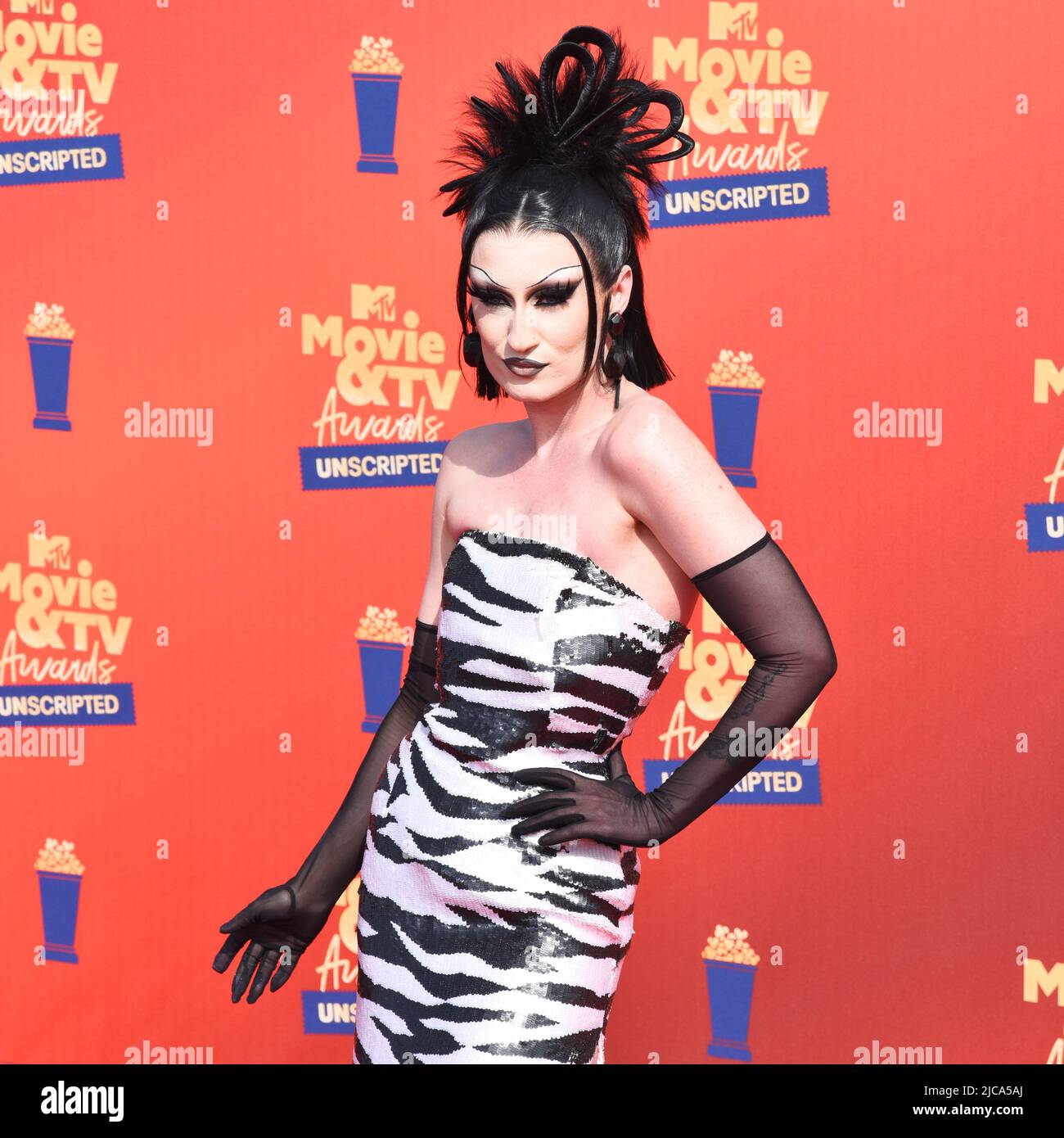 Santa Monica, CA USA - June 2, 2022. Bosco attends 2022 Movie and TV ...