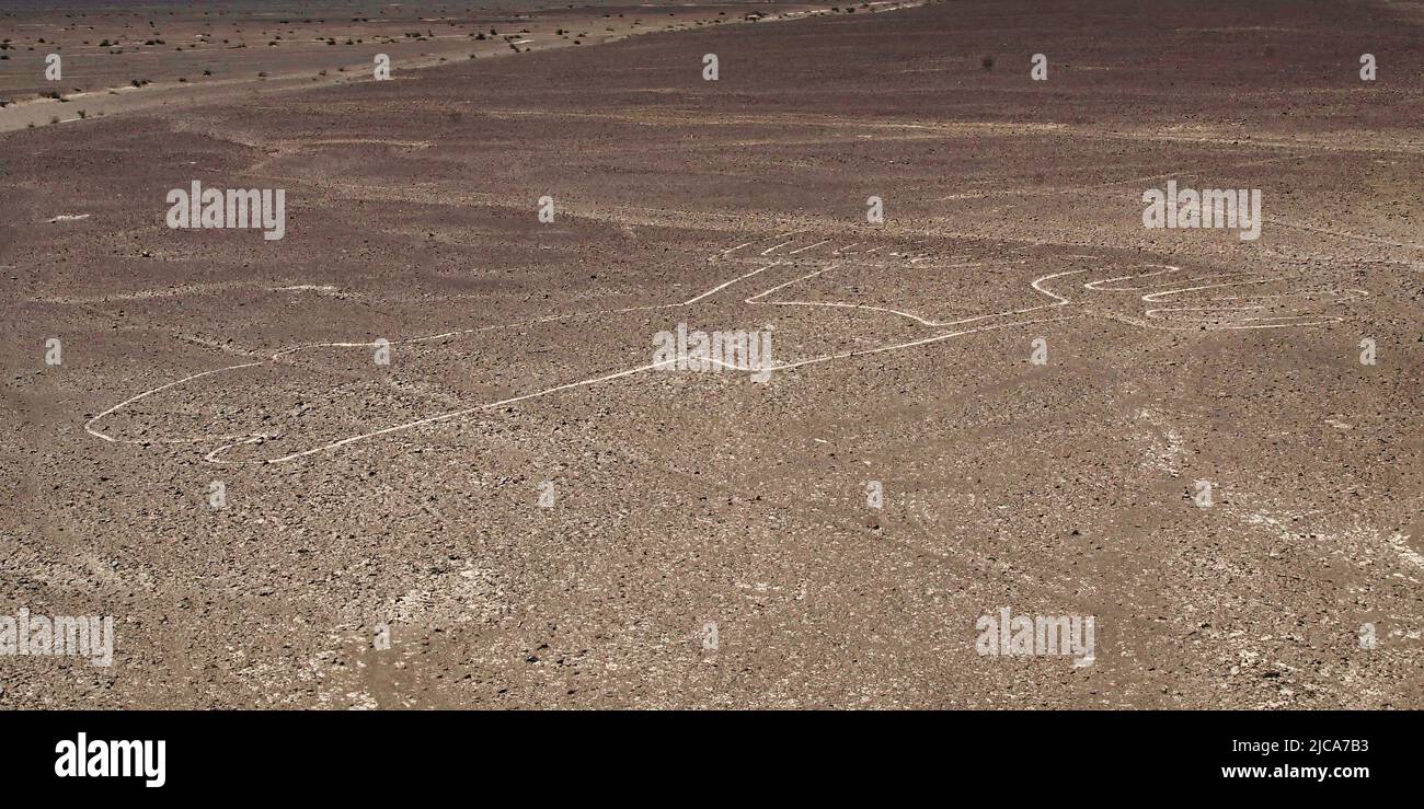 The famous Nazca Lines, Nazca desert, Peru Stock Photo - Alamy