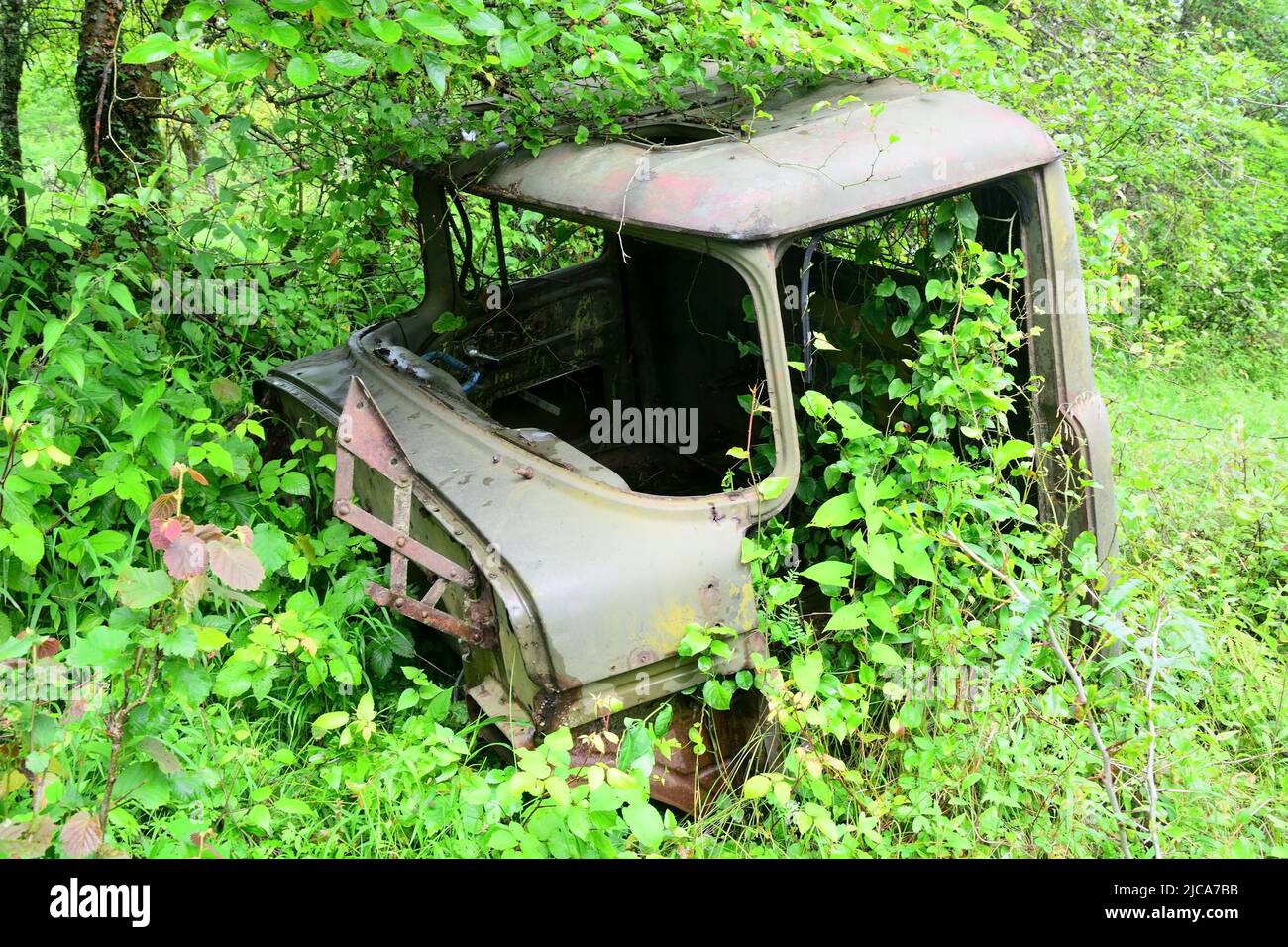 Echoes of war- Rusty and abandoned car at the forest Stock Photo - Alamy