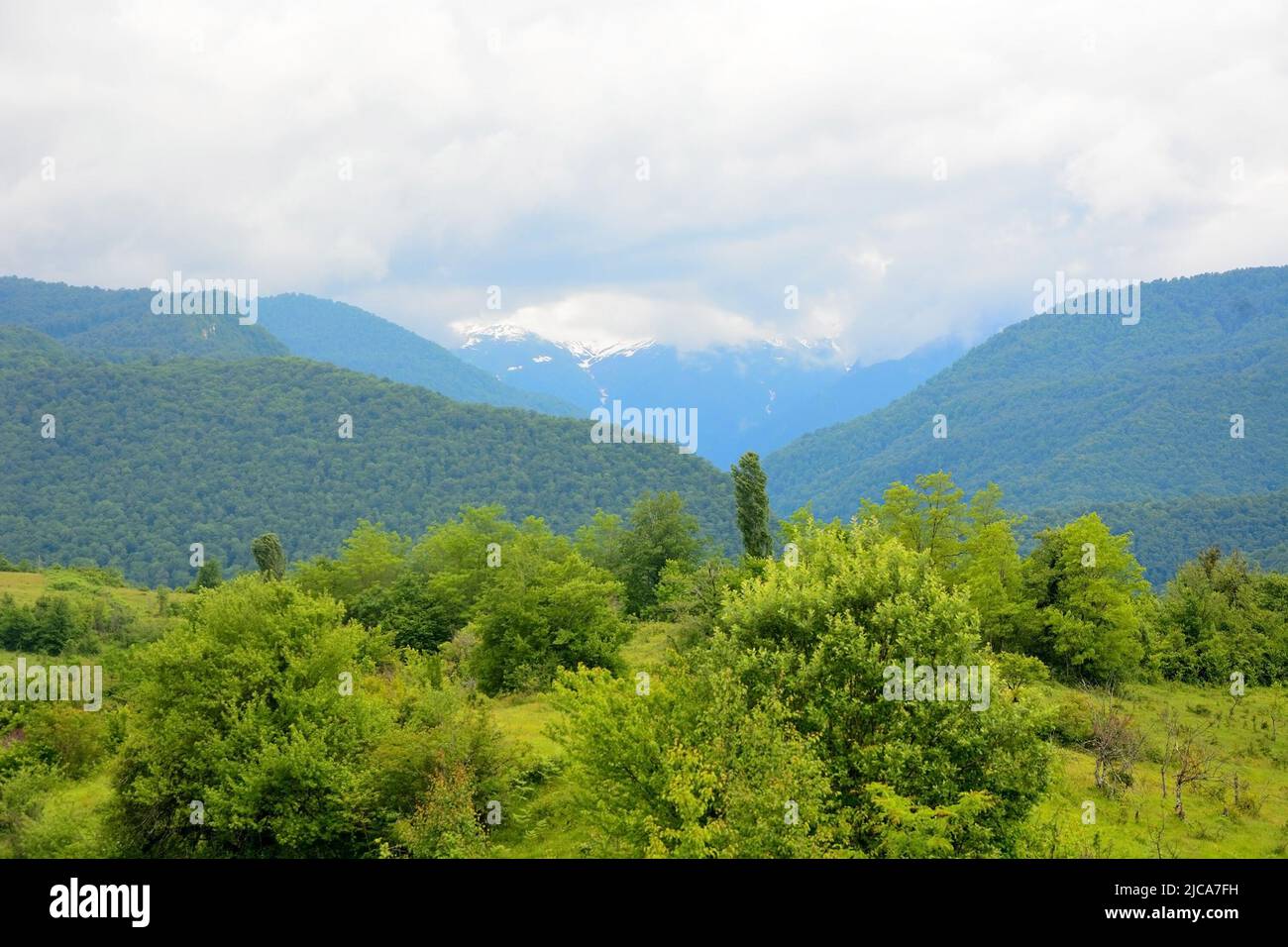 Alpine meadows, foggy mountains at Abkhazia (Kodori Gorge Stock Photo ...
