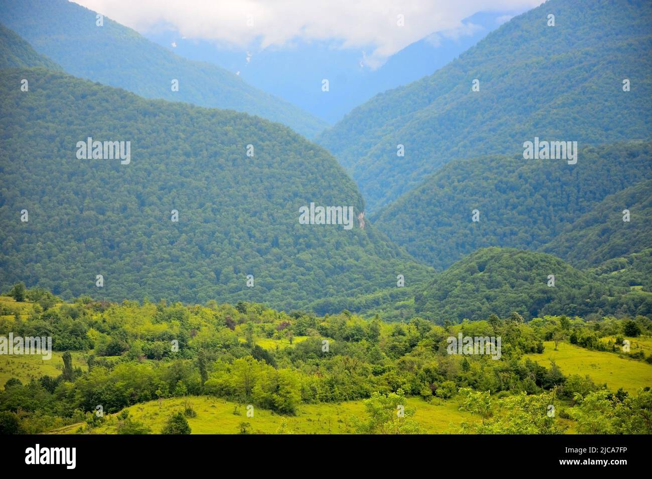 Alpine meadows, foggy mountains at Abkhazia (Kodori Gorge Stock Photo ...