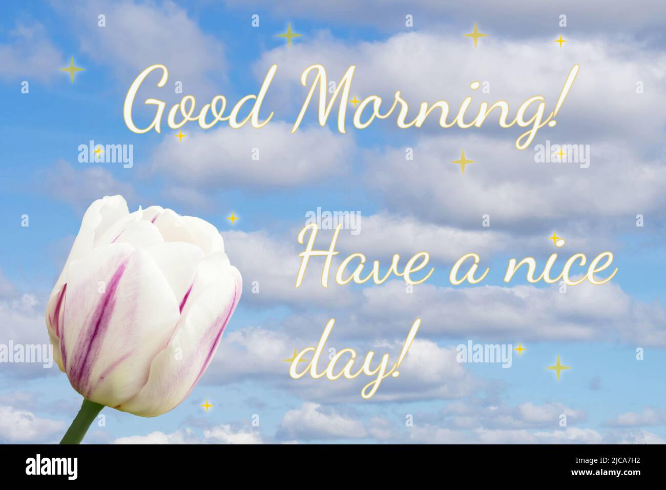 Nice Day Wishes