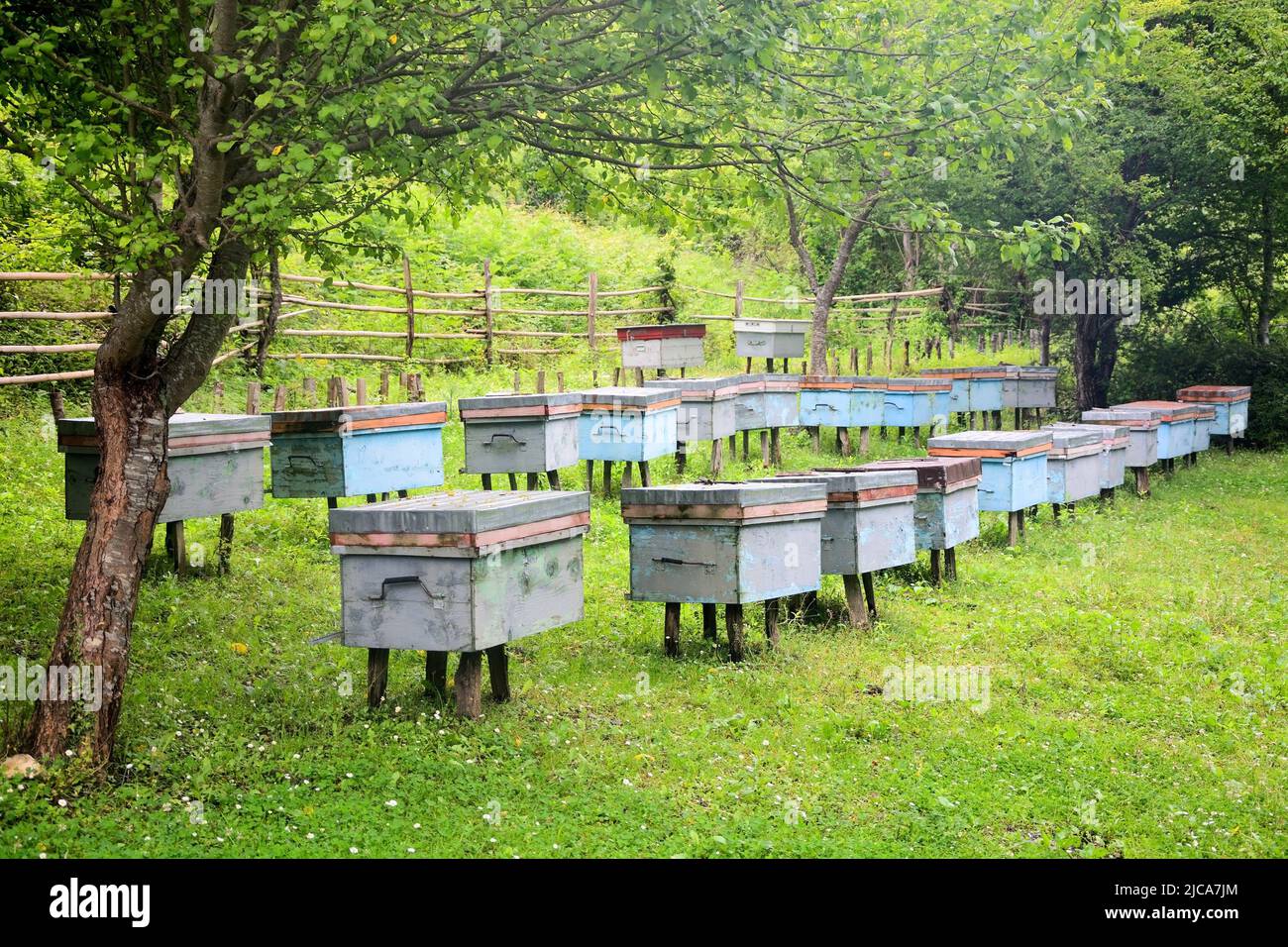 Old wooden bee hive with honey at the Abkhazian farm, Kodori gorge ...