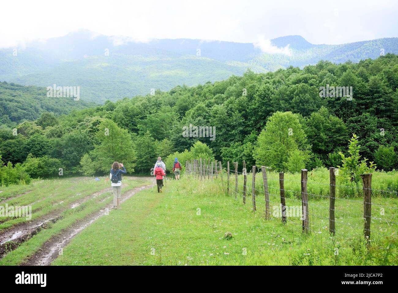 Kodori gorge hi-res stock photography and images - Alamy