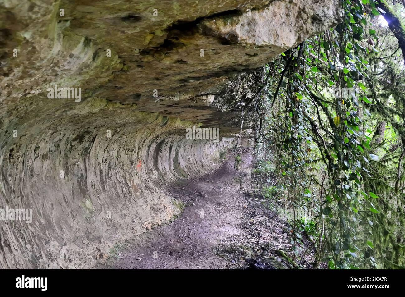 Natural passage hi-res stock photography and images - Alamy