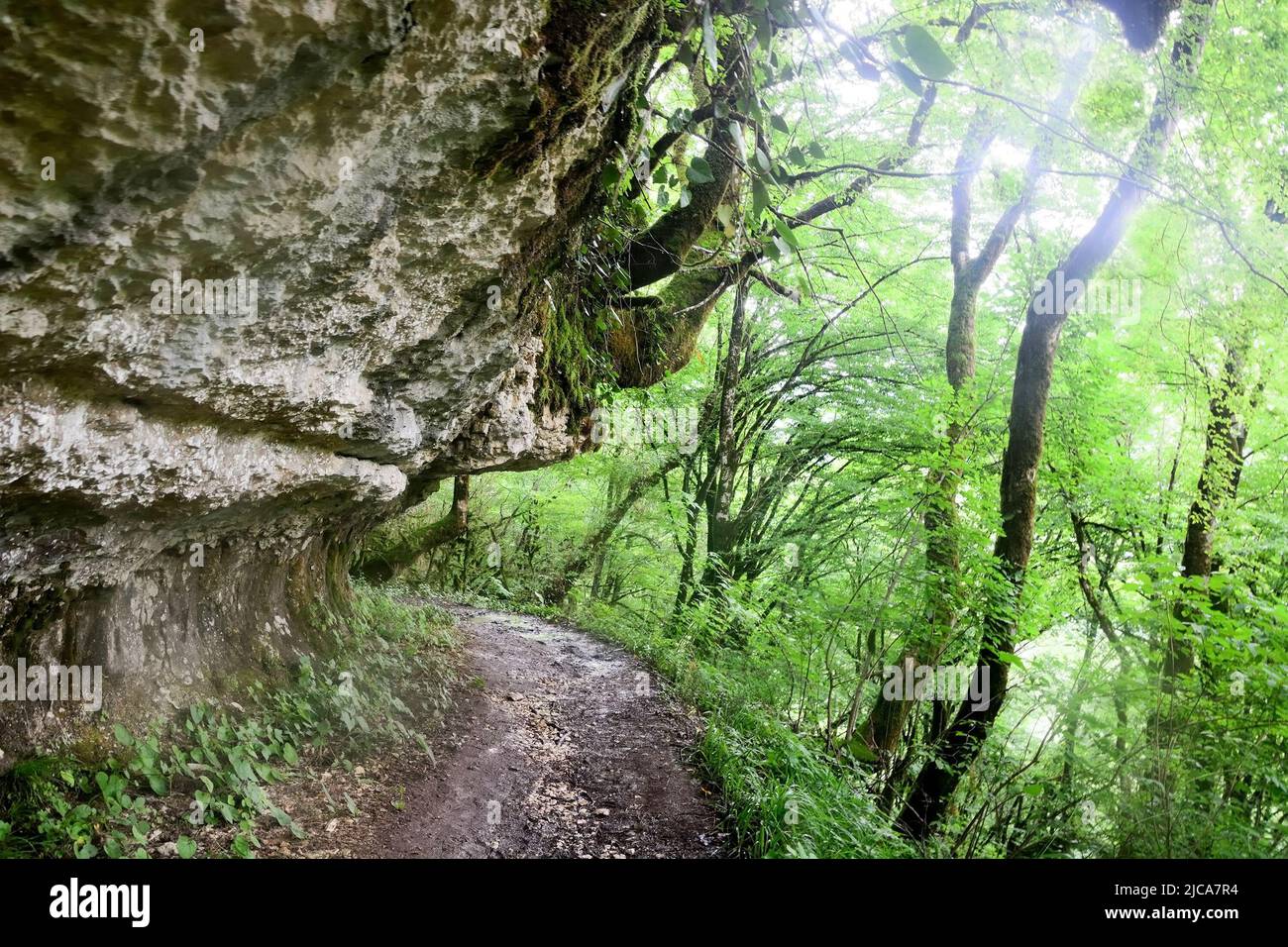Natural passage in the rock to the Shakuransky waterfall, Abkhazia ...