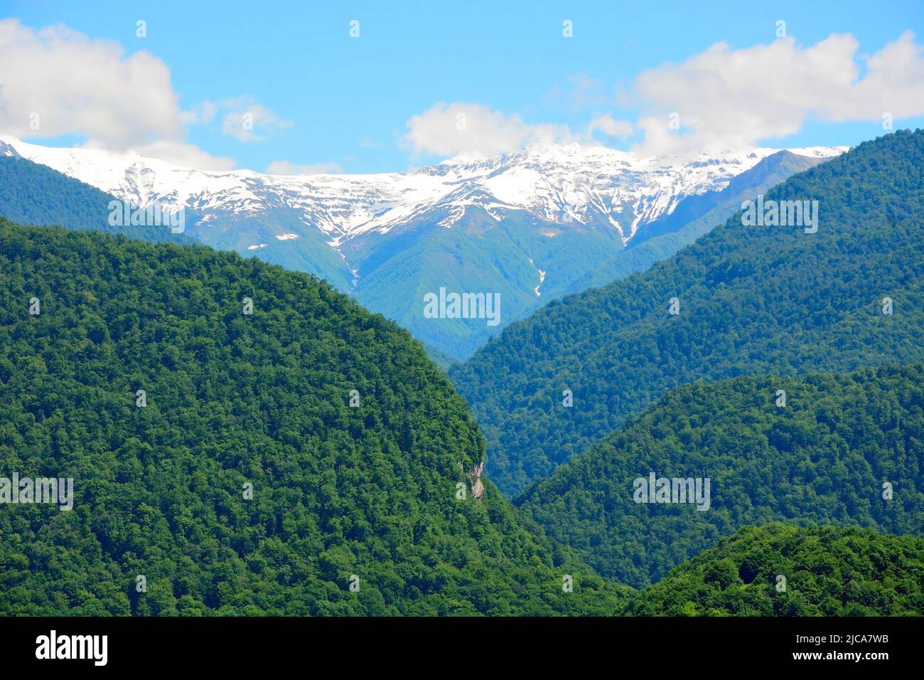 Kodori gorge, Abkhazia. Mountain peak with snow Stock Photo - Alamy